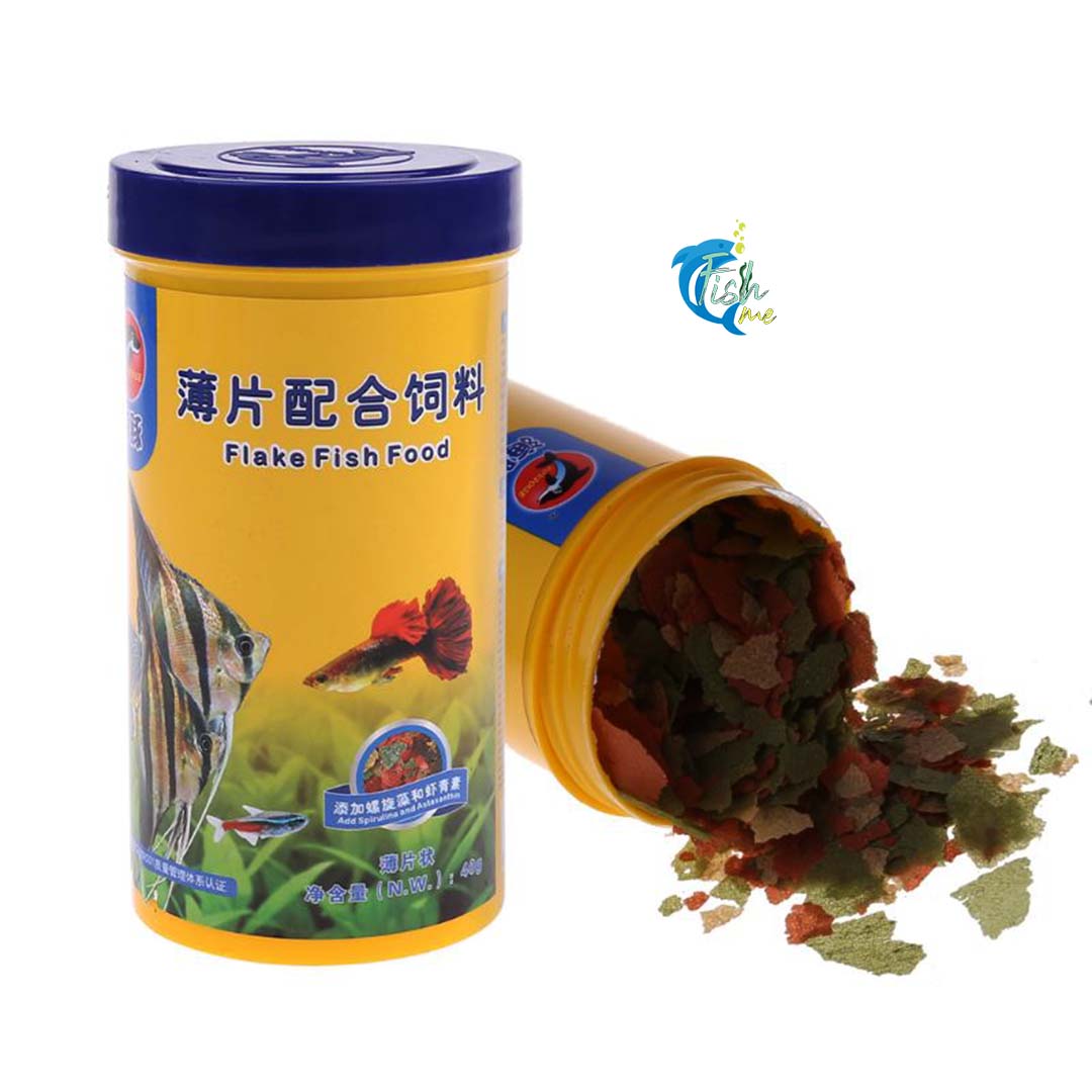 Aquarium Shop in Bangladesh - Fish Me